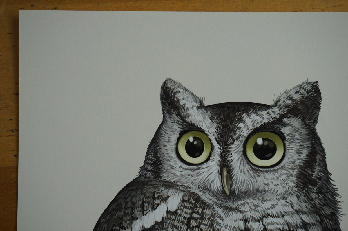 Fat Bird - 2016 Mike Mitchell Eastern Screech Owl poster/print – Sold ...