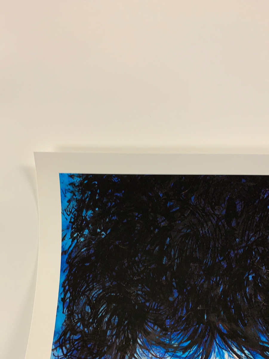 Bob Dylan - 2020 Joey Feldman poster art print AP – Sold Out Posters