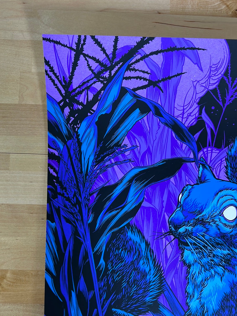 Phish - 2022 Ken Taylor poster Noblesville, IN Ruoff N1 – Sold Out Posters