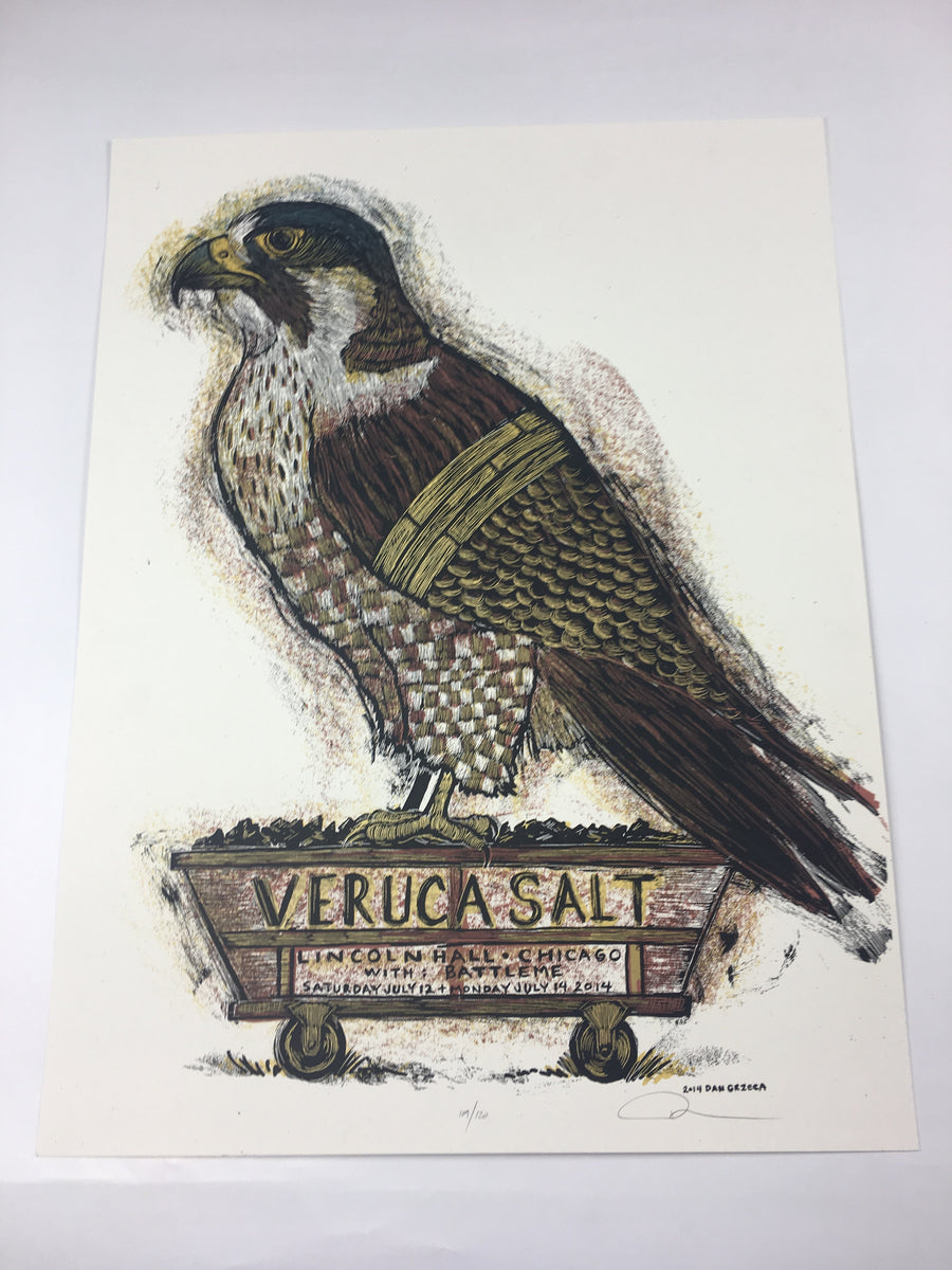 Veruca Salt - 2014 Dan Grzeca Poster Chicago, IL Lincoln Hall – Sold ...