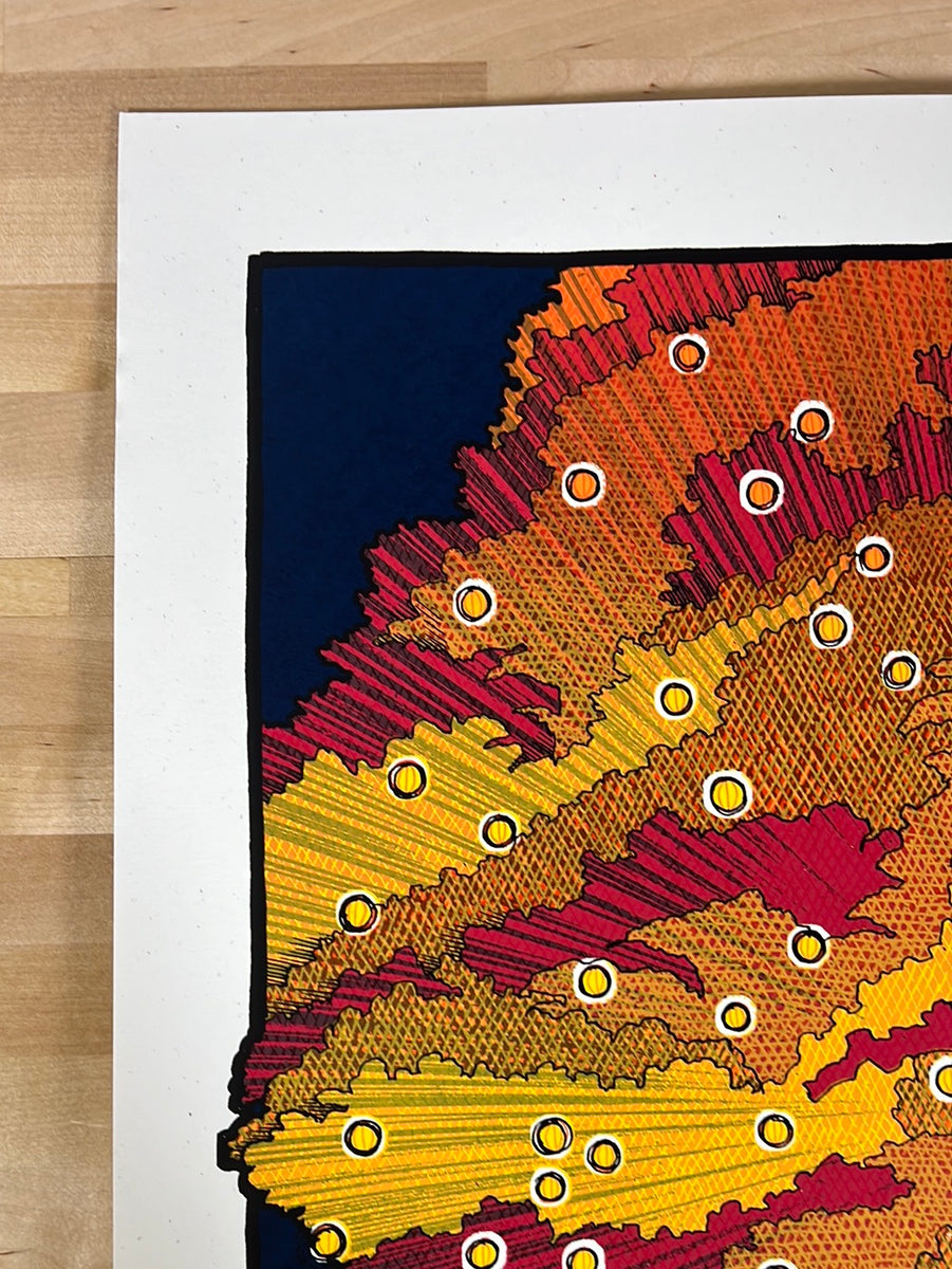 Andrew Bird - 2021 Jay Ryan poster Gezelligheid Chicago, IL – Sold Out ...