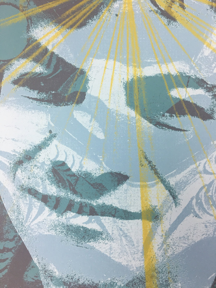 Ween - 2008 Todd Slater Poster Council Bluffs, IA Stir Cove at Harrah ...