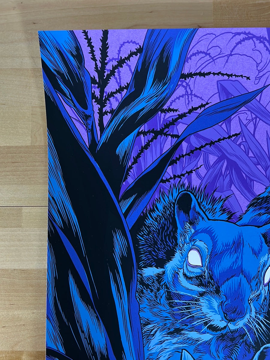 Phish - 2022 Ken Taylor poster Noblesville, IN Ruoff N2 – Sold Out Posters