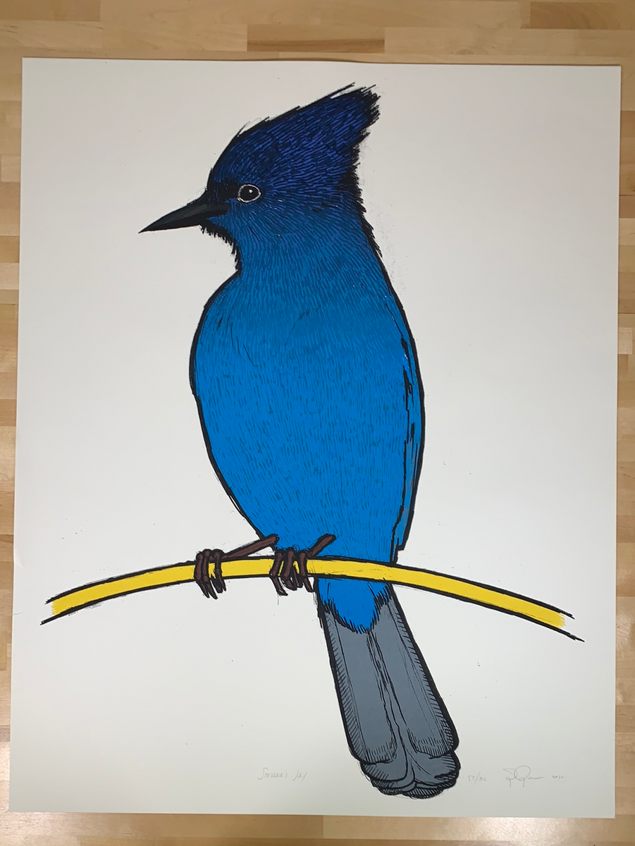 Steller's Jay - 2010 Jay Ryan Art Print – Sold Out Posters