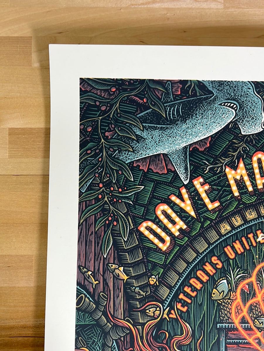 Dave Matthews Band - 2021 Luke Martin poster Virginia Beach, VA – Sold ...